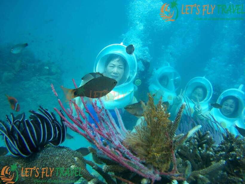 Nha Trang City Scuba Diving Adventure & Seaside Tour - Lunch with a View and Beachside Relaxing