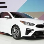 Nha Trang City to Resort/Cam Ranh Airport - Transportation - Private Transfer - Who Should Use This Service?