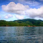 Nha Trang: Coastal Journey With Beaches And Marine Treasures - What to Expect: A Day of Oceanic Delights