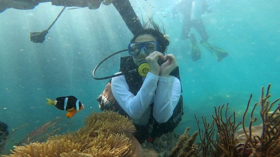 Nha Trang: Coral Reef Snorkeling and Floating Bar Party - What Makes This Tour Special?