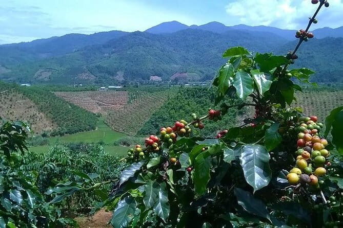 Nha Trang relaxing with Indian Auyverdic herbal spa and massage half day tour - The Experience and What Travelers Say