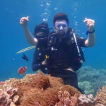 Nha Trang : Scuba diving experience for certified dive - What You Can Expect from the Tour