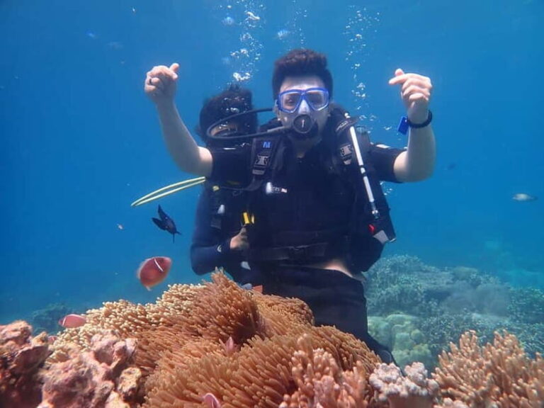Nha Trang : Scuba diving experience for certified dive - What You Can Expect from the Tour