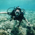 Nha Trang: Scuba Diving Tour with Lunch and Drinks - Practicalities & Considerations