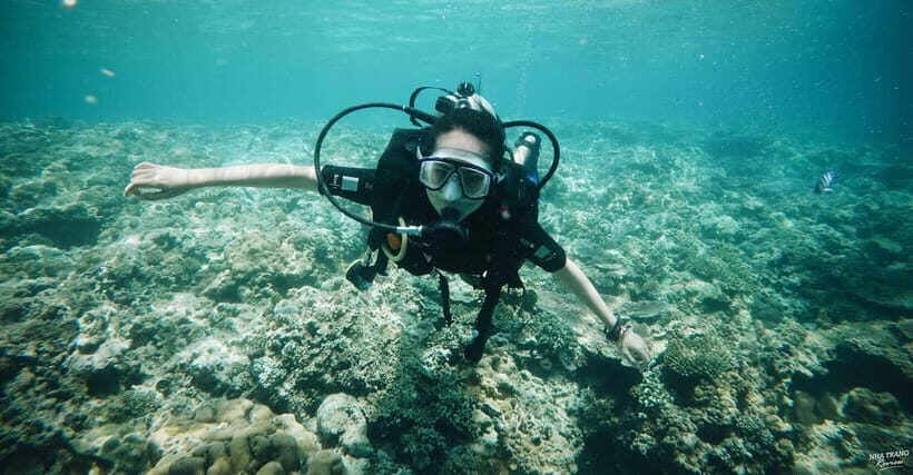 Nha Trang: Scuba Diving Tour with Lunch and Drinks - Practicalities & Considerations