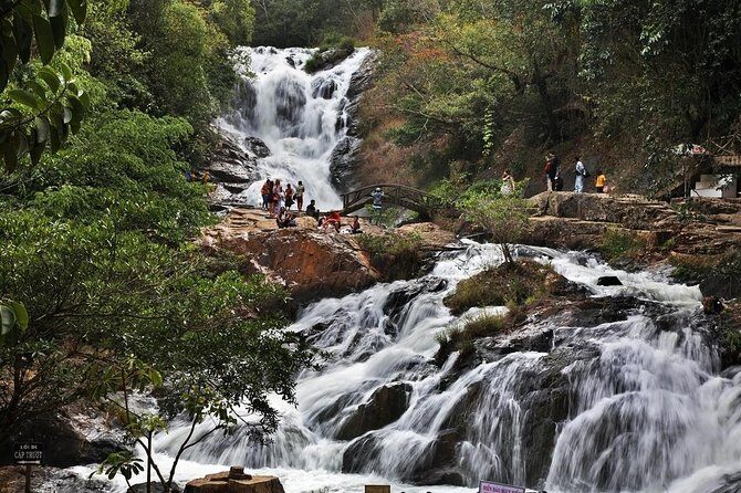 Nha Trang to Da Lat - Private Transfer - Who Is This Service Best For?
