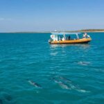 Nhulunbuy: Bremer Island Day Trip - What to Expect During the Day