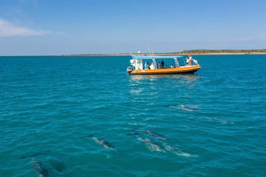 Nhulunbuy: Bremer Island Day Trip - What to Expect During the Day