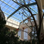 Niagara Falls, Canada: Bird Kingdom Entry Ticket - Practical Details and Visitor Tips