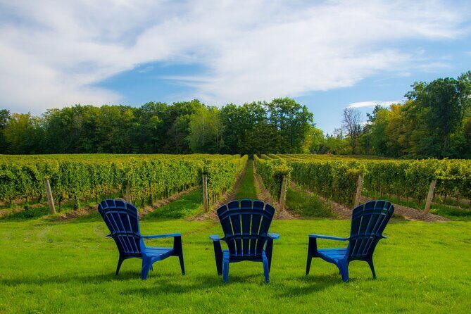 Niagara Falls Day Tour from Toronto (9 Hours) - The Value of This Tour