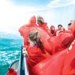 Niagara Falls Private Day Tour - Value and Practical Considerations