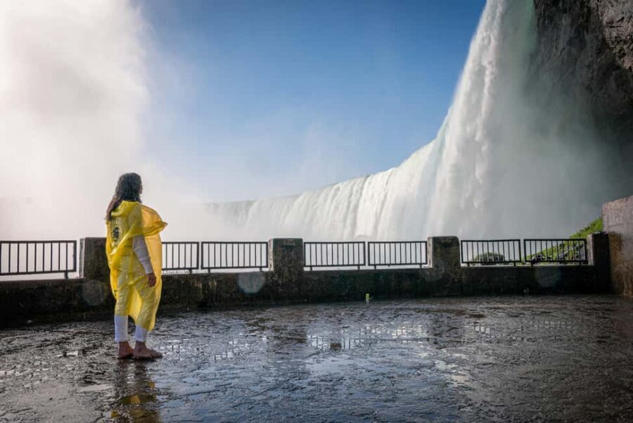 Niagara Falls Tour with Skip the Line Cruise & Maple Tasting - What the Price Gets You