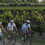 Niagara-on-the-Lake: Bicycle Tour with Wine Tasting - Authentic Feedback from Participants