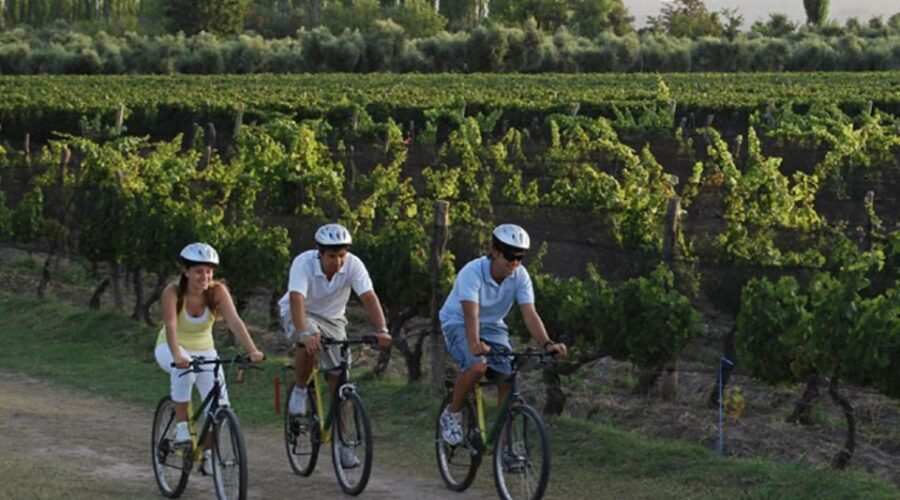 Niagara-on-the-Lake: Bicycle Tour with Wine Tasting - Authentic Feedback from Participants
