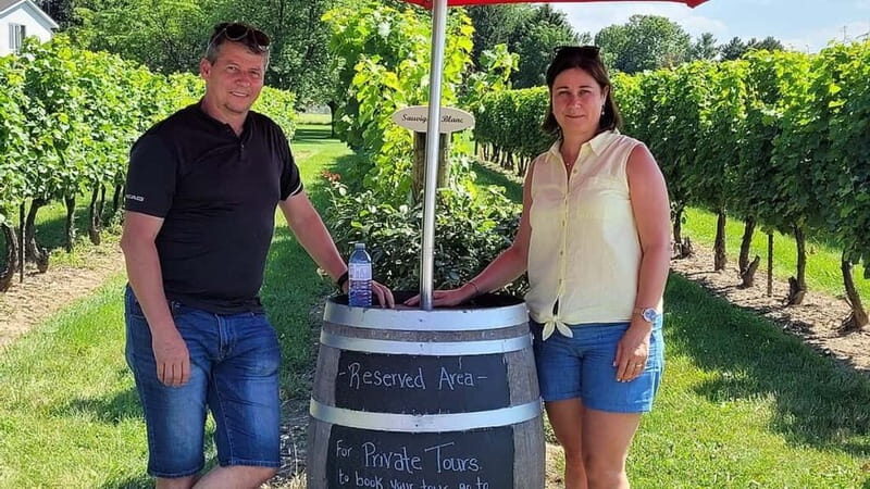 Niagara-on-the-Lake: Sunset Wine Tour with Dinner - Who Is This Tour Best For?