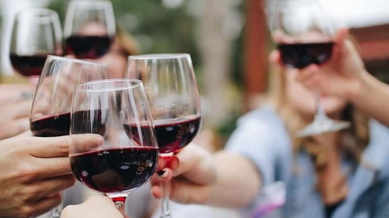 Niagara-on-the-Lake: Wine Tour with Tastings and Lunch - The Experience’s Pros and Cons