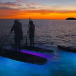 Night Glow Stand Up Paddle Experience in Kota Kinabalu - FAQs About the Night Glow Paddle Experience