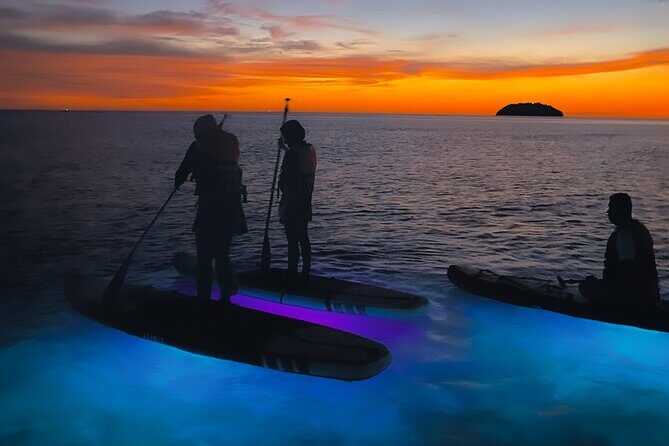 Night Glow Stand Up Paddle Experience in Kota Kinabalu - FAQs About the Night Glow Paddle Experience