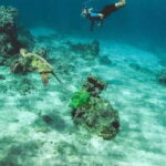 Night Snorkeling in Mirissa - Why You Should Consider Night Snorkeling in Mirissa