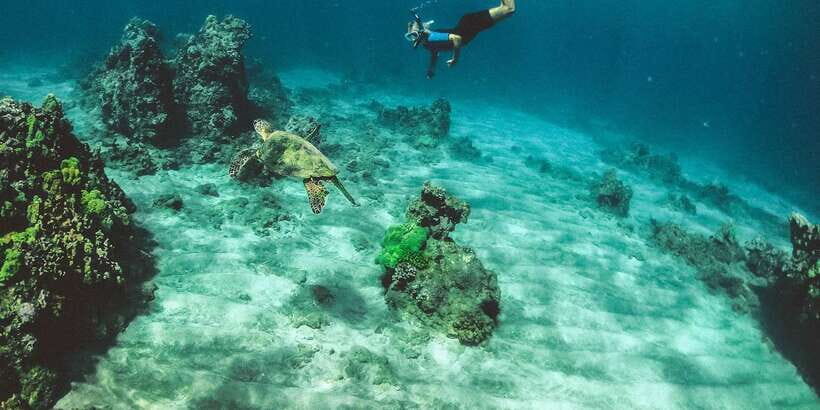 Night Snorkeling in Mirissa - Why You Should Consider Night Snorkeling in Mirissa