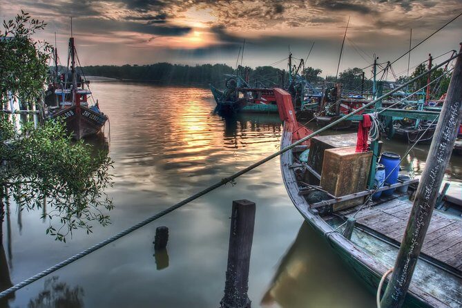Night Tour from Kuala Lumpur With Firefly Watching and Dinner - Who Should Consider This Tour?