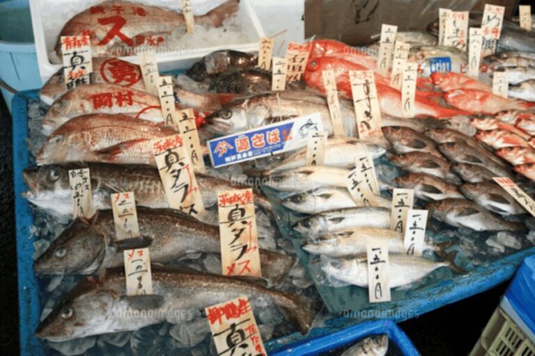 Niigata Private Custom Tour with Local Guide - Coastal Charm at Teradomari