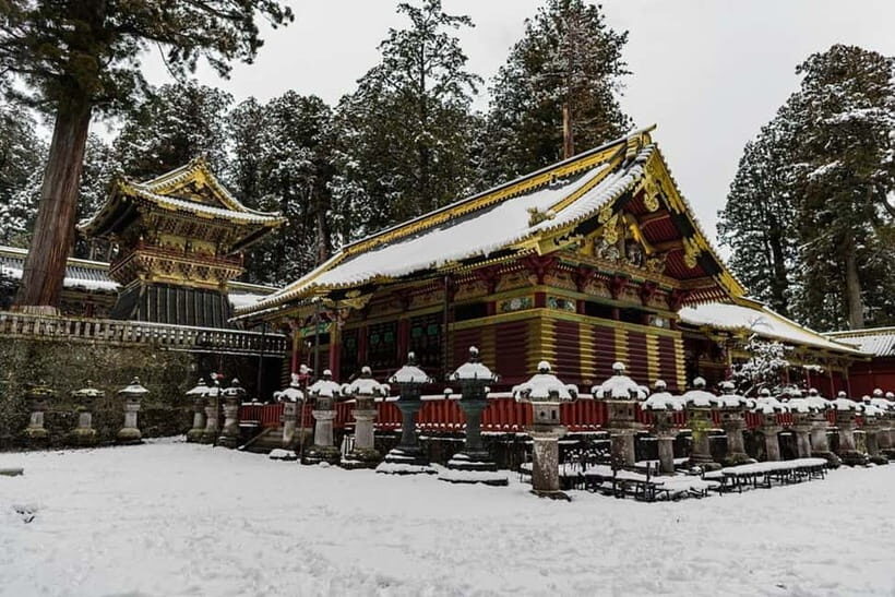 Nikko Customize Private Tour By Car with Hotel Pickup - What to Expect from the Tour