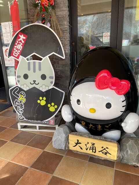 Nikko Private Day Tour with English Speaking Expert Driver - Who Is This Tour Best For?