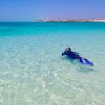 Ningaloo In A Full day Hike and Snorkel Tour - Detailed Breakdown of the Itinerary