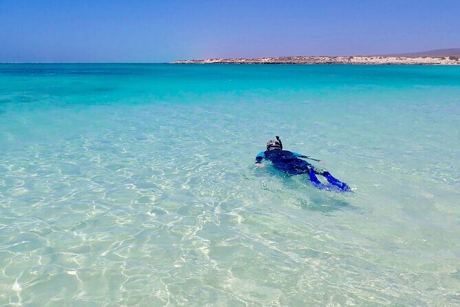 Ningaloo In A Full day Hike and Snorkel Tour - Detailed Breakdown of the Itinerary