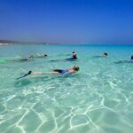 Ningaloo Reef Snorkel Adventure - Who Will Love This Tour?
