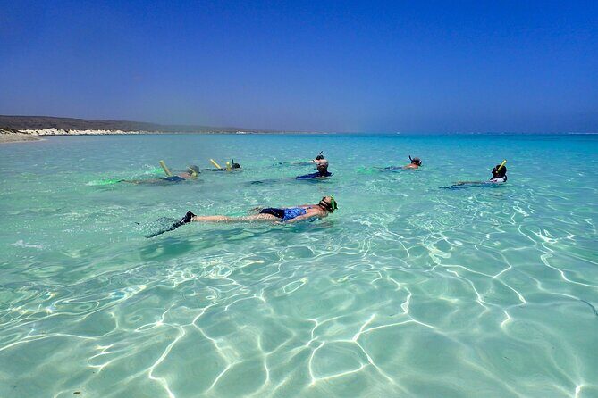Ningaloo Reef Snorkel Adventure - Who Will Love This Tour?