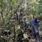 Ninh Binh: Cuc Phuong Jungle Hike & Wildlife Day Trip - Is It Worth the Price?
