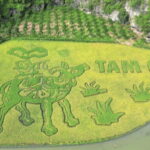 NINH BINH DAY TRIP: HOA LU,MUA CAVES &THUNG NHAM BIRD VALLEY - Who Is This Tour Best For?
