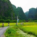 Ninh Binh Full Day Hoa Lu Tam Coc Mua Cave Tour Buffet, Boat - What Makes This Tour Stand Out?