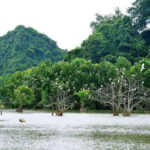 Ninh Binh Jeep Tour: Tam Coc HIGHTLIGHTS & HIDDEN GEMS - The Itinerary Breakdown