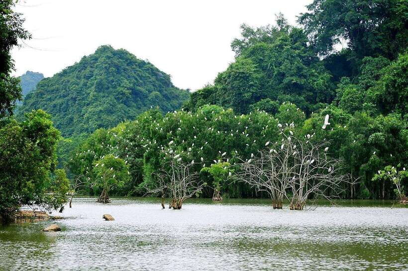 Ninh Binh Jeep Tour: Tam Coc HIGHTLIGHTS & HIDDEN GEMS - The Itinerary Breakdown