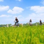 Ninh Binh Private Tour to Mua Cave Trang An Grottoes From Hanoi - In-Depth Breakdown of the Itinerary