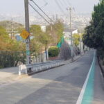 Nishinomiya: Haruhi Suzumiya Anime Locations Guided Tour - Is It Worth the Price?