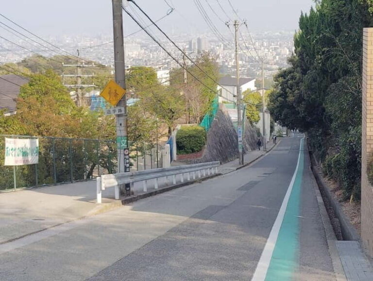 Nishinomiya: Haruhi Suzumiya Anime Locations Guided Tour - Is It Worth the Price?