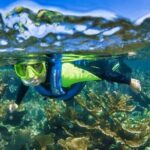 Nizuc Reef Snorkel Experience - Practical Details