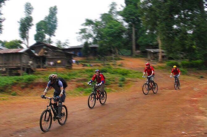 No.1 Chiang Mai: Epic Doi Suthep Downhill MTB Adventure - The Practicalities: What’s Included and What to Expect
