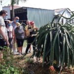 NO SHOPPING & NON-TOURISTY PLACES - Private Unseen Mekong Delta Tour Full Day - Authentic Experiences That Feel Real