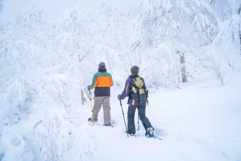 Noboribetsu: Orofure Pass Snowshoeing Tour - The Itinerary and Highlight Stops