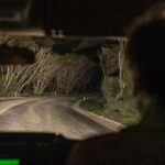 Nocturnal Tour of Kangaroo Island - Final Thoughts: Is It Worth It?