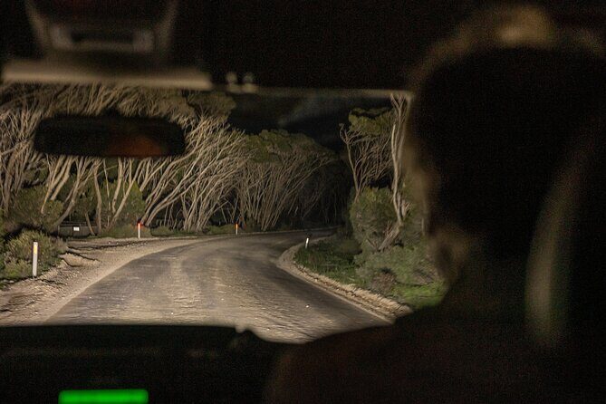 Nocturnal Tour of Kangaroo Island - Final Thoughts: Is It Worth It?