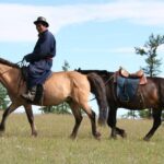 Nomadic Odyssey Mongolia Tour - Natural Wonders and Landscapes