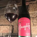 NON BUS GIRLS TRIP Traverse City Old Mission Wine Tour - The Experience: More Than Just Tasting