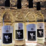 NON BUS White Wine Lover Old Mission Traverse City Wine Tour - Who Should Consider This Tour?