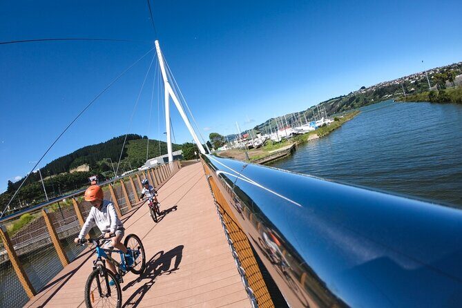 Non-Electric Bike Rental - Final Thoughts